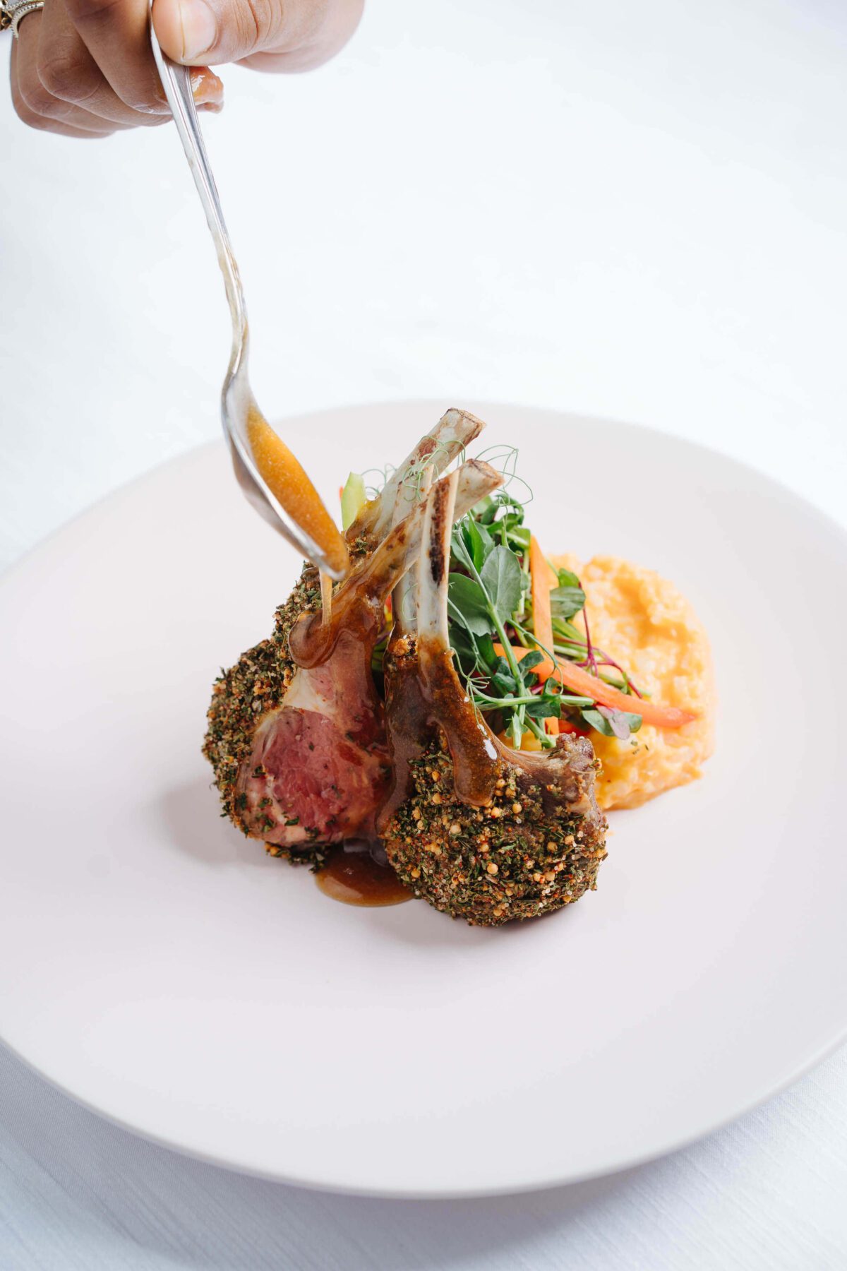 Baltimore Gala Catering | Zeffert and Gold Event Caterers